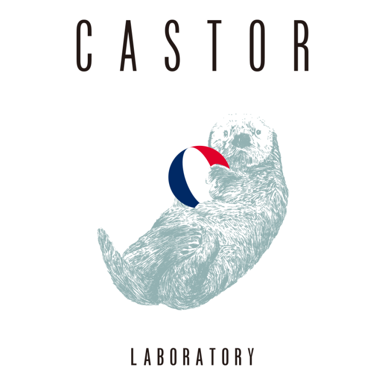 castor_logo900 – CASTOR & Laboratory